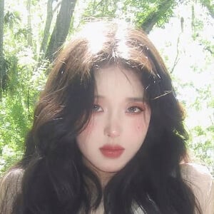 Aunt_Steph_ - Age, Family, Bio | Famous Birthdays