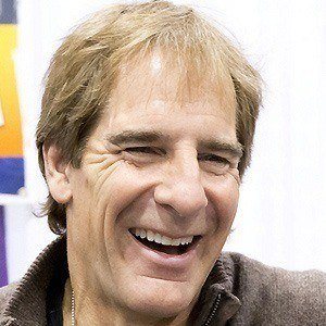 Scott Bakula - Bio, Family, Trivia | Famous Birthdays