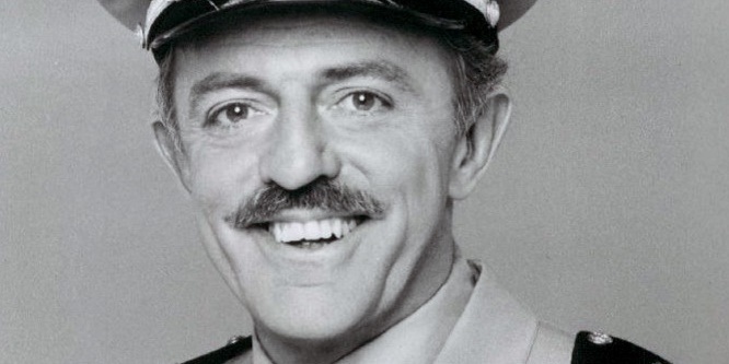 John Astin - Age, Bio, Family | Famous Birthdays