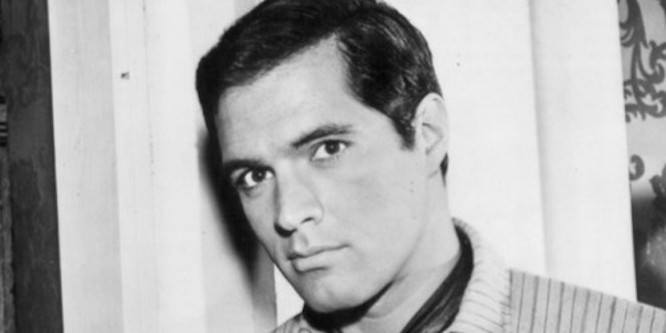 John Gavin Bio | Famous Birthdays