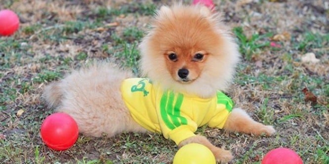 March Pom - Trivia, Family, Bio | Famous Birthdays