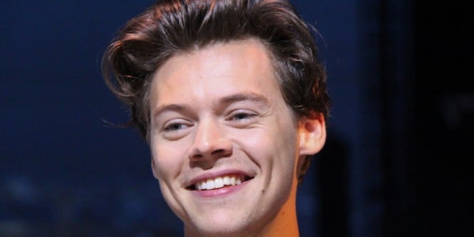 Harry Styles - Age, Bio, Family | Famous Birthdays