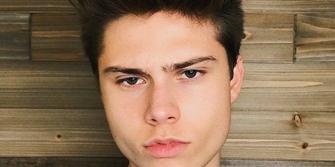 Drake Wolf - Age, Bio, Family | Famous Birthdays