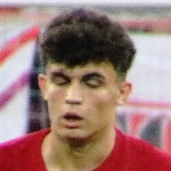 Stefan Bajcetic - Age, Bio, Family | Famous Birthdays