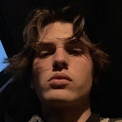 Dylan Davidson - Age, Bio, Family | Famous Birthdays