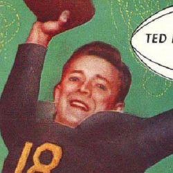 Ted Marchibroda - Bio, Family | Famous Birthdays