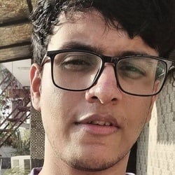 Triggered Insaan - Age, Bio, Family | Famous Birthdays