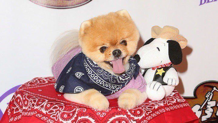JiffPom - Age, Bio, Family | Famous Birthdays